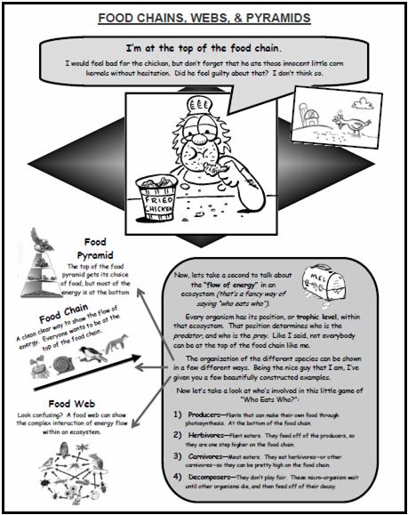 Homecourt Publishers | Free Activity Food Chains - Review Sheet